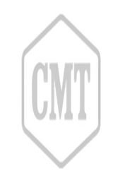 Channels of mega Ott